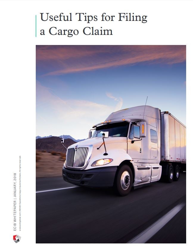 Useful Tips for Filing a Cargo Claim Whitepaper